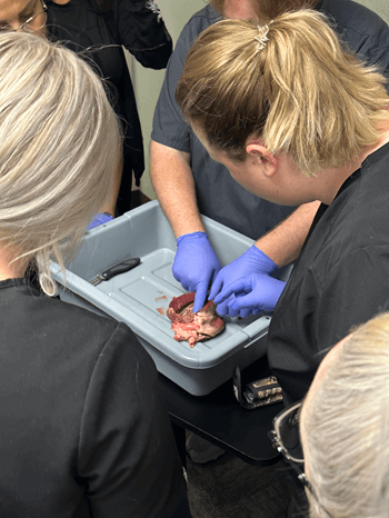 Arizona Heart Foundation Saving Lives Through Sonography Education